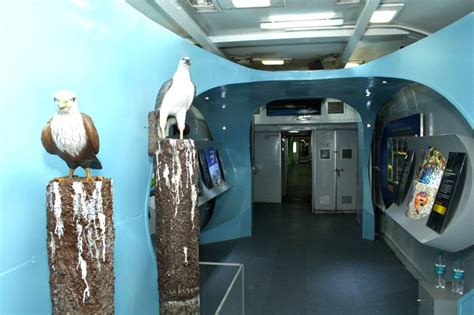 Image result for Science Express Inside