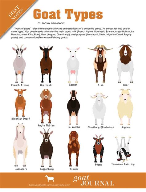 Image result for Types of Goats