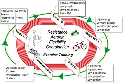 Image result for Exercise Continuum