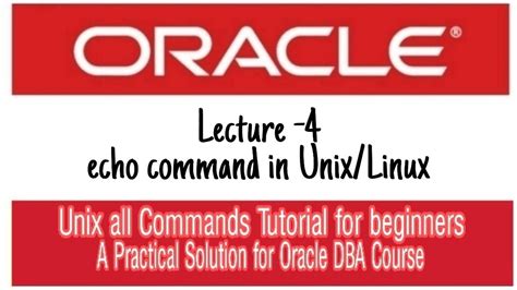 Image result for Echo Unix