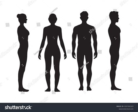 Image result for Front Back Side View Human