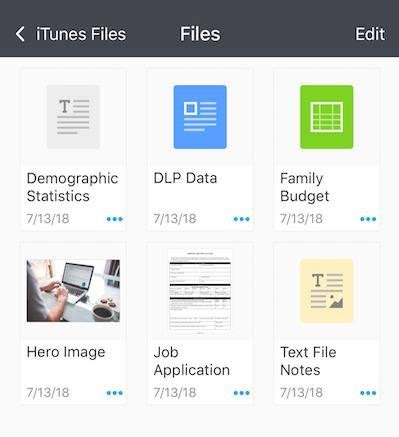 Image result for iPhone File Download