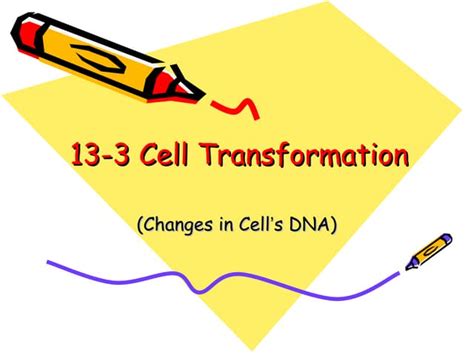 Image result for Cell Transformation
