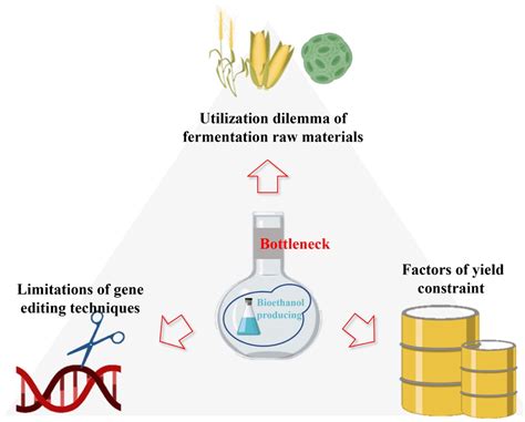 Image result for Bioethanol From Sugar Processing