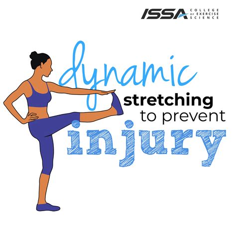 Image result for Dynamic Hamstring Stretching