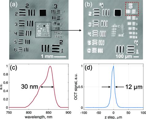 Image result for Oct Axial Resolution