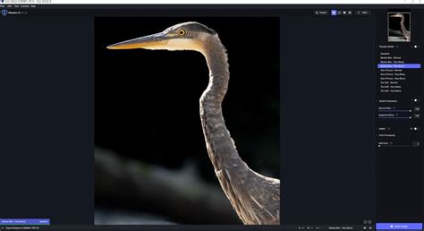 Image result for Topaz Labs Sharpen AI Tutorial