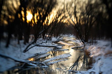 Image result for Lensbaby Tutorials