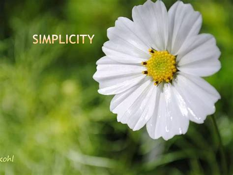 Image result for Sample Composition Slide