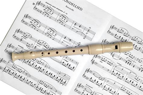 Image result for Recorder Instrument Notes