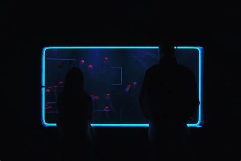 Image result for Destiony 2 Error Code Bee