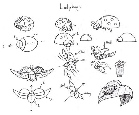 Image result for Ladybug Line Drawing