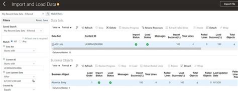 Image result for HCM Data Loader Fast Formula Type