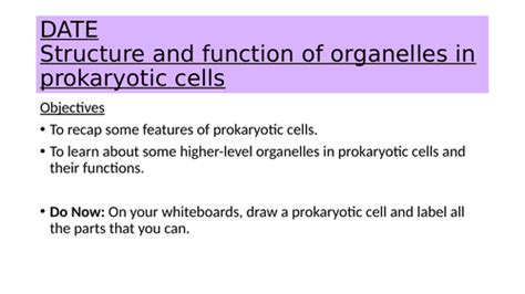 Image result for BTEC Applied Science Muscle Cell