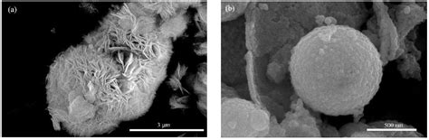 Image result for PD ZrO2