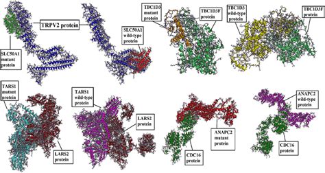 Image result for Protein Interactions Simulating Software