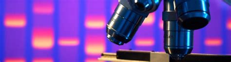 Image result for Best Digital Microscope