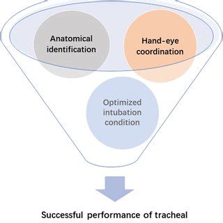 Image result for Digital Intubation