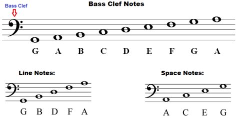 Image result for Reading Bass Clef Notes