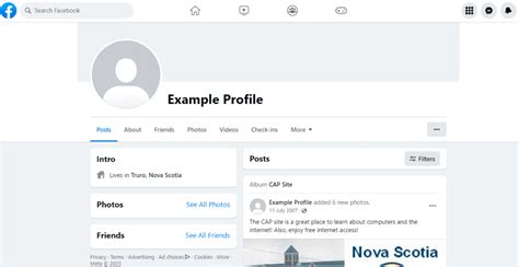 Image result for Facebook Basic Profile