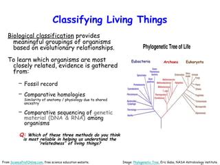 Image result for Classification Facts