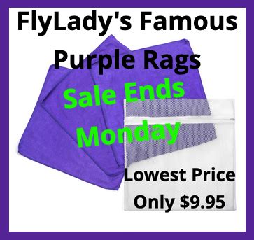 Image result for FlyLady Mini Calendar