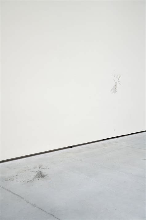 Image result for Sisel Tolas Work