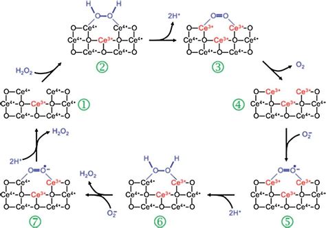Image result for H2O2 Oxidation
