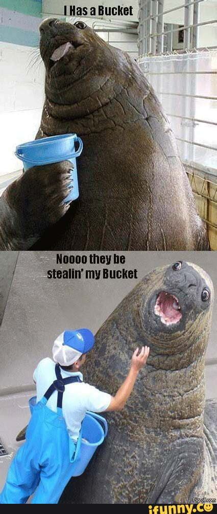 Image result for Time Out Bucket Meme