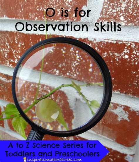 Image result for Observation Practice