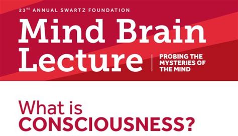 Image result for Brain Lecture