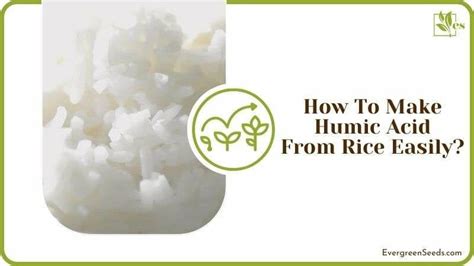 Image result for How to Apply Humic Acid
