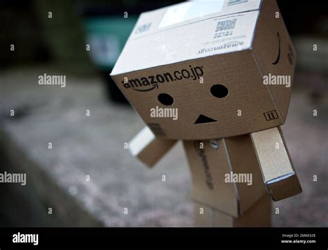 Image result for Sad Amazon. Box