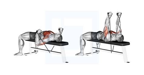 Image result for Bench Chest Fly