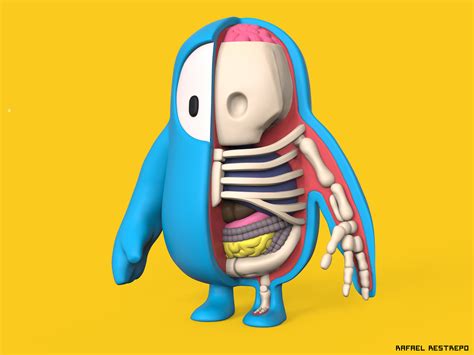 Image result for Fall Guys Bone Structure