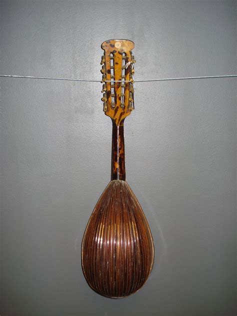 Image result for 12 String Mandolin