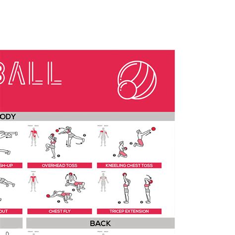 Image result for Mini Ball Exercise Chart