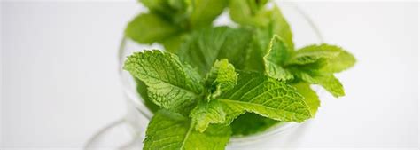 Image result for Toothpaste Flavors