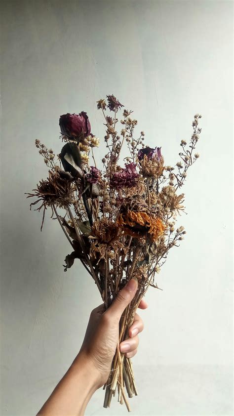 Image result for Static Screen Background