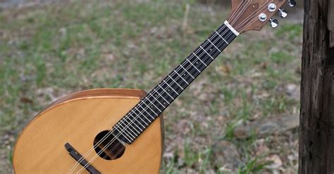 Image result for Nylon String Mandolin
