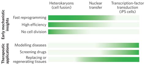 Image result for Nuclear Reprogramming