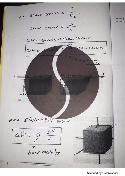 Image result for Basic Physics Elasticity