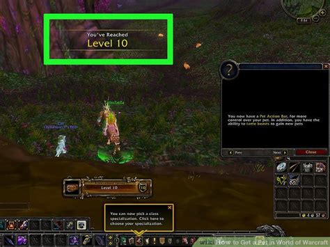 Image result for PSO2 How to Get Pet