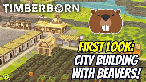Image result for Timberborn City Layout