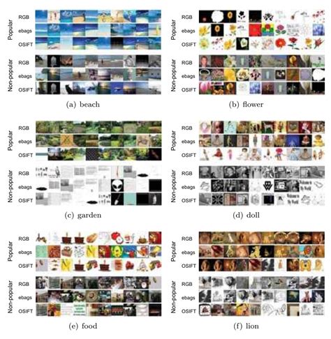 Image result for Classification Examples Grade 5