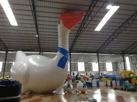 Image result for Inflatable Snow Goose Pool