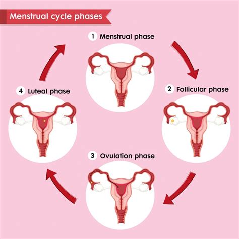 Image result for Period Science Definition