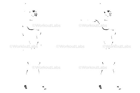 Image result for Side Lateral Raises Form