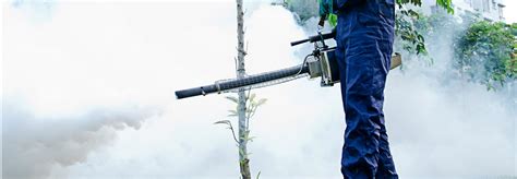 Image result for Pest Control Fumigation