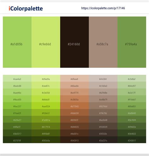 Image result for Coffee Color Code
